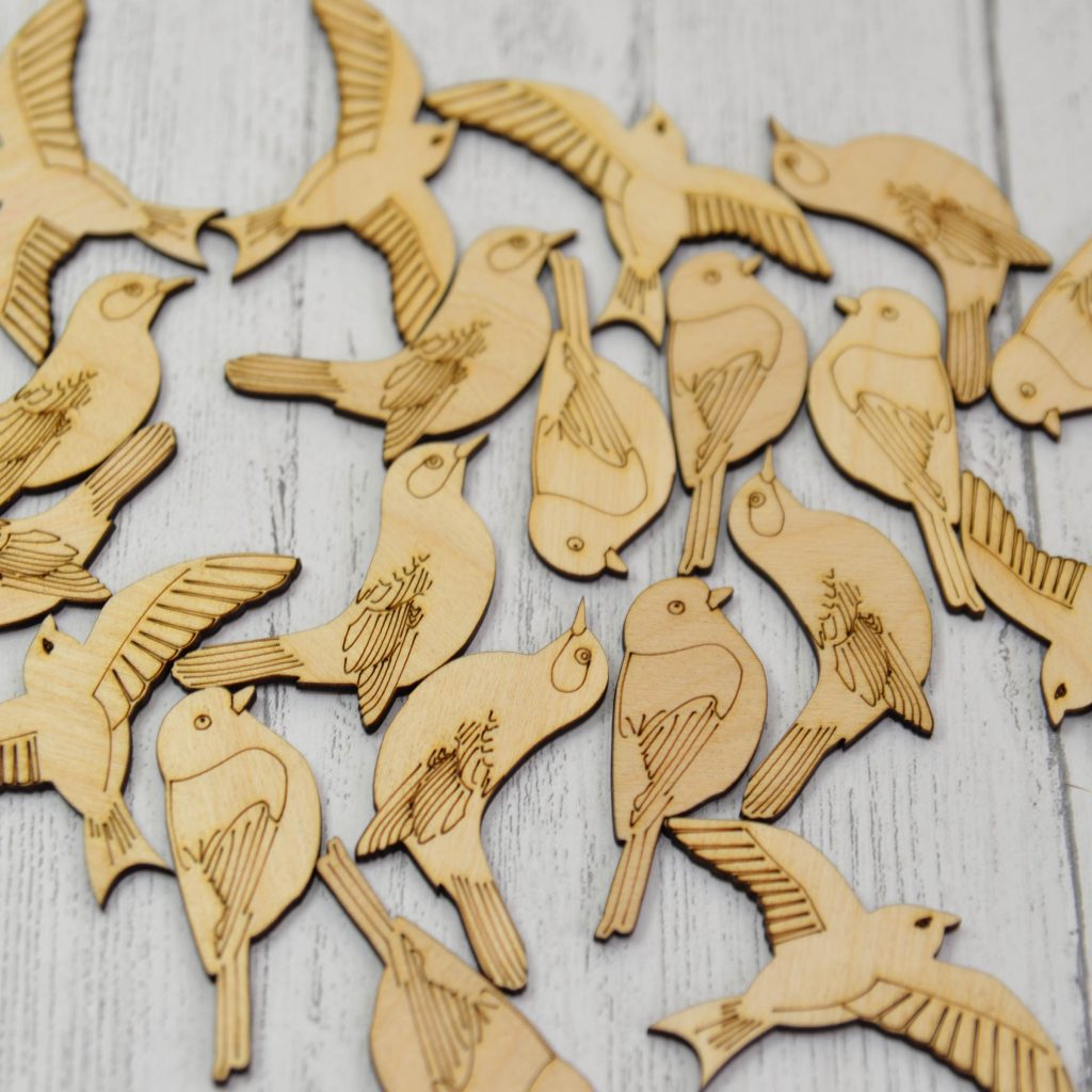 Bird Themed Shapes - RainbowRhinoLaser