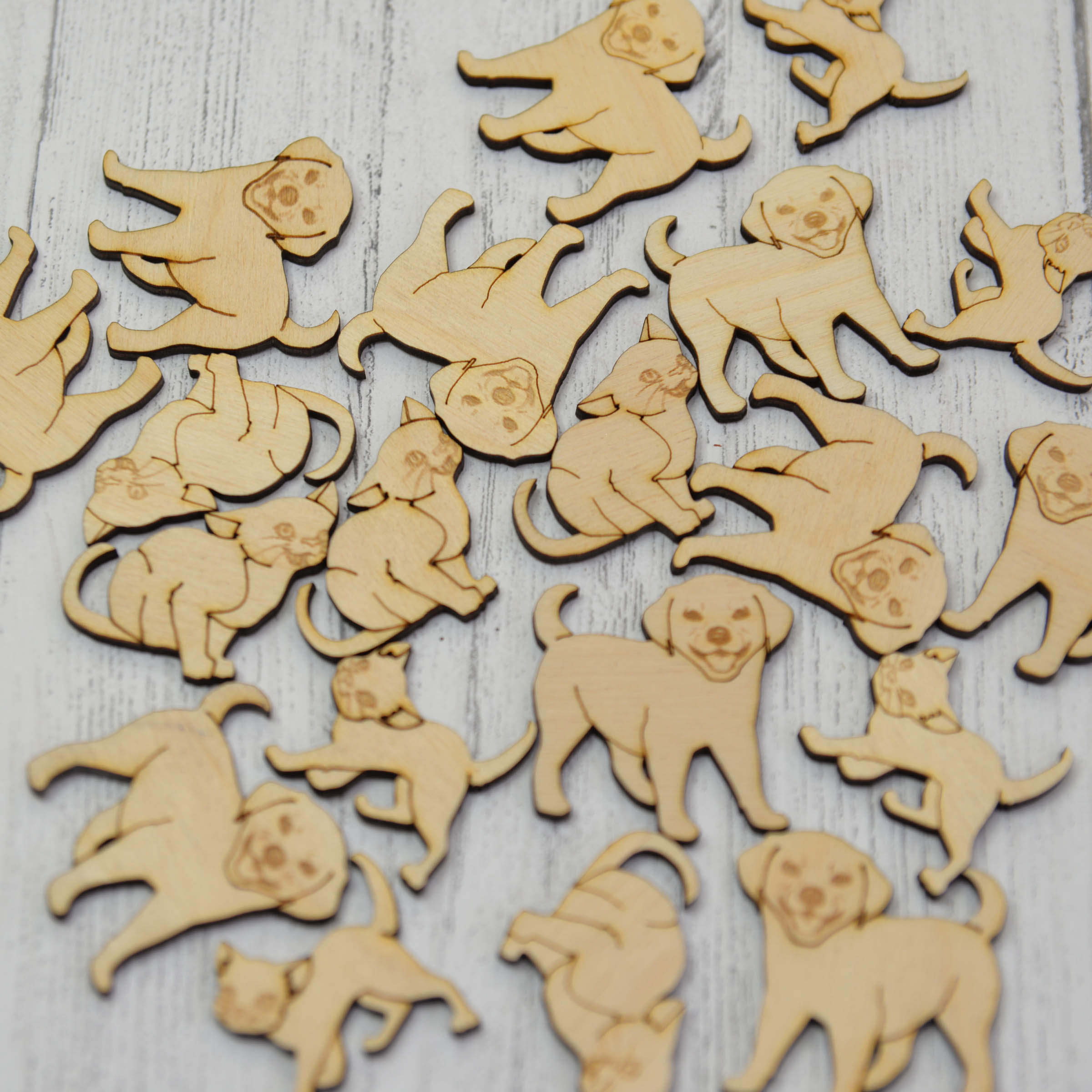 Cats And Dogs Themed Shapes - RainbowRhinoLaser